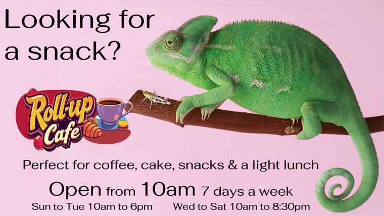 Roll-up Cafe & Bistro